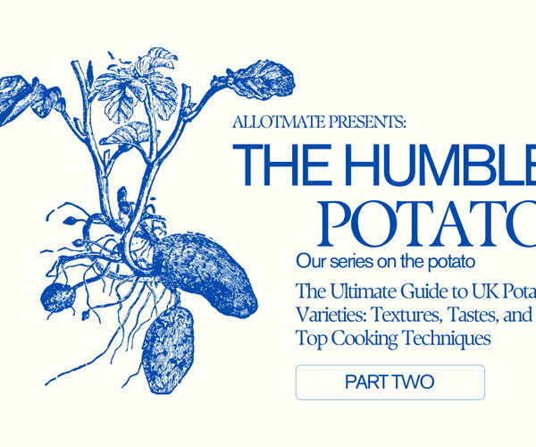 The Ultimate Guide to UK Potato Varieties: Textures, Tastes, and Top C ...